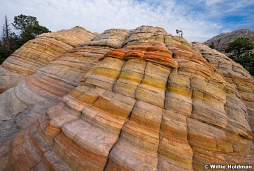 Sandstone Patterns – Torrey Gallery
